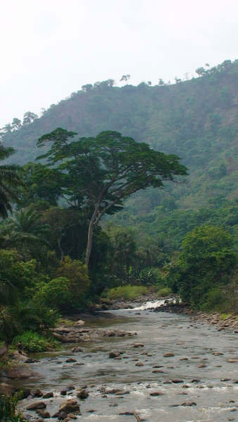 River Cameroon - Ontmoet Afrika